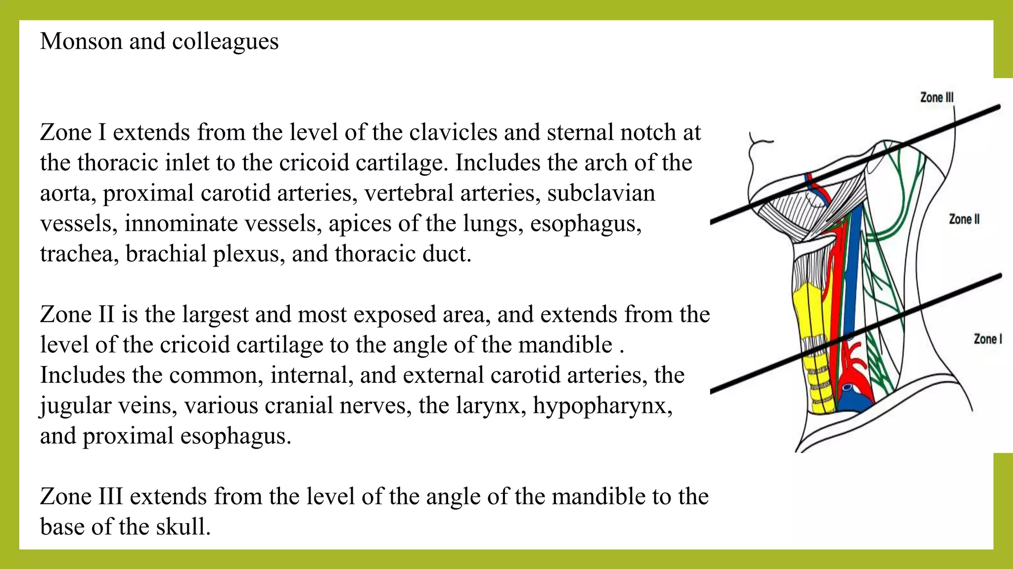 ANATOMY OF NECK.pptx