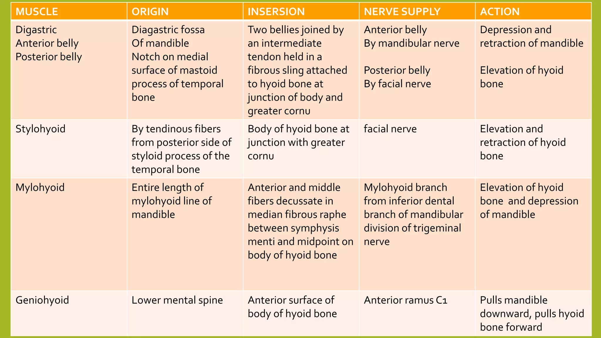 ANATOMY OF NECK.pptx
