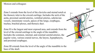 ANATOMY OF NECK.pptx