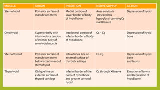 ANATOMY OF NECK.pptx