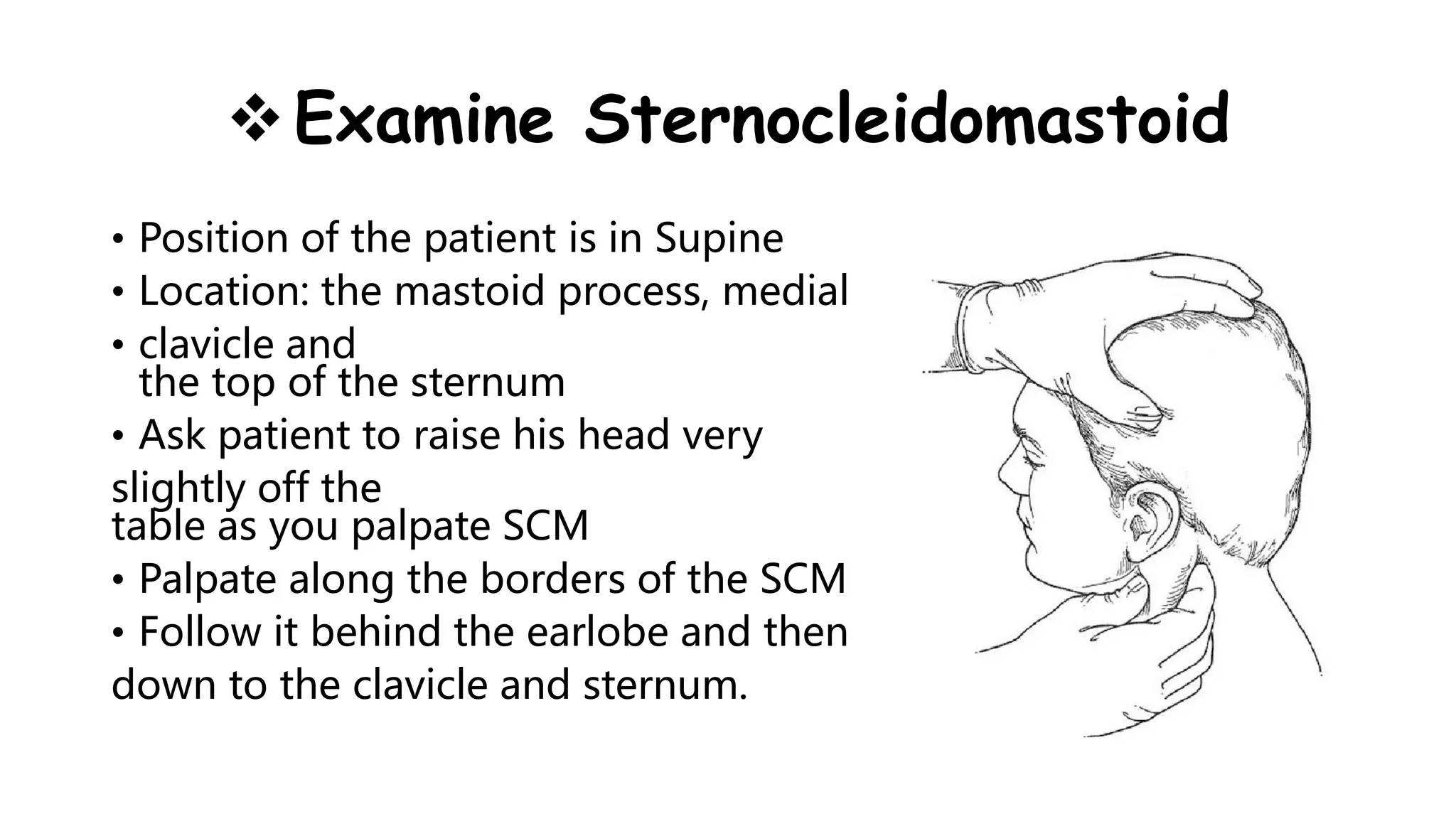 Anatomy Of NECK.pptx
