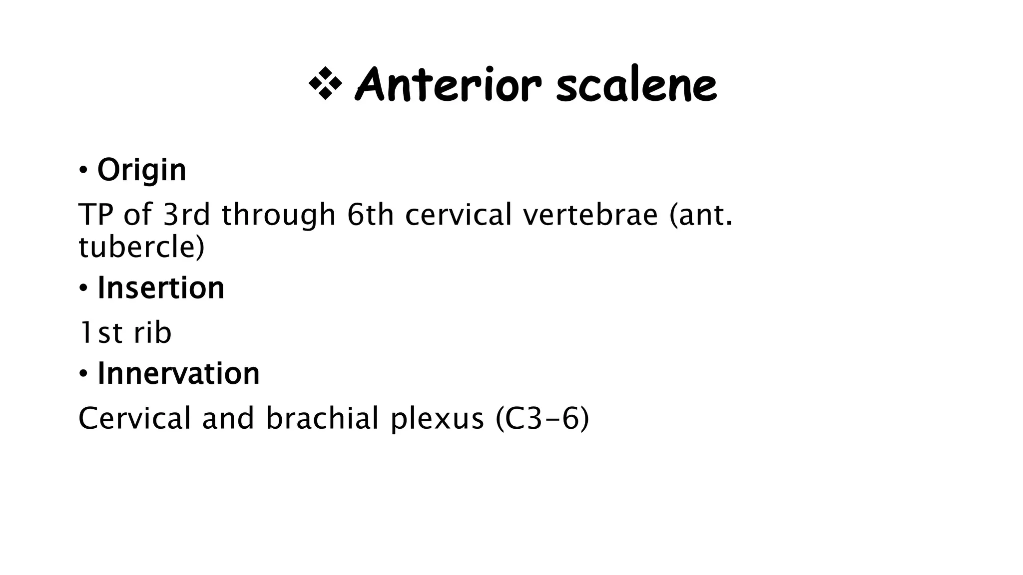 Anatomy Of NECK.pptx