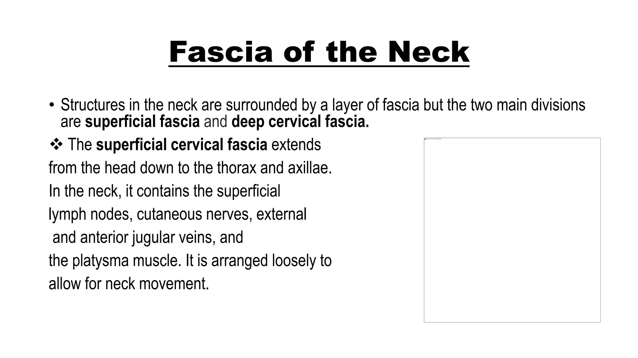 Anatomy Of NECK.pptx