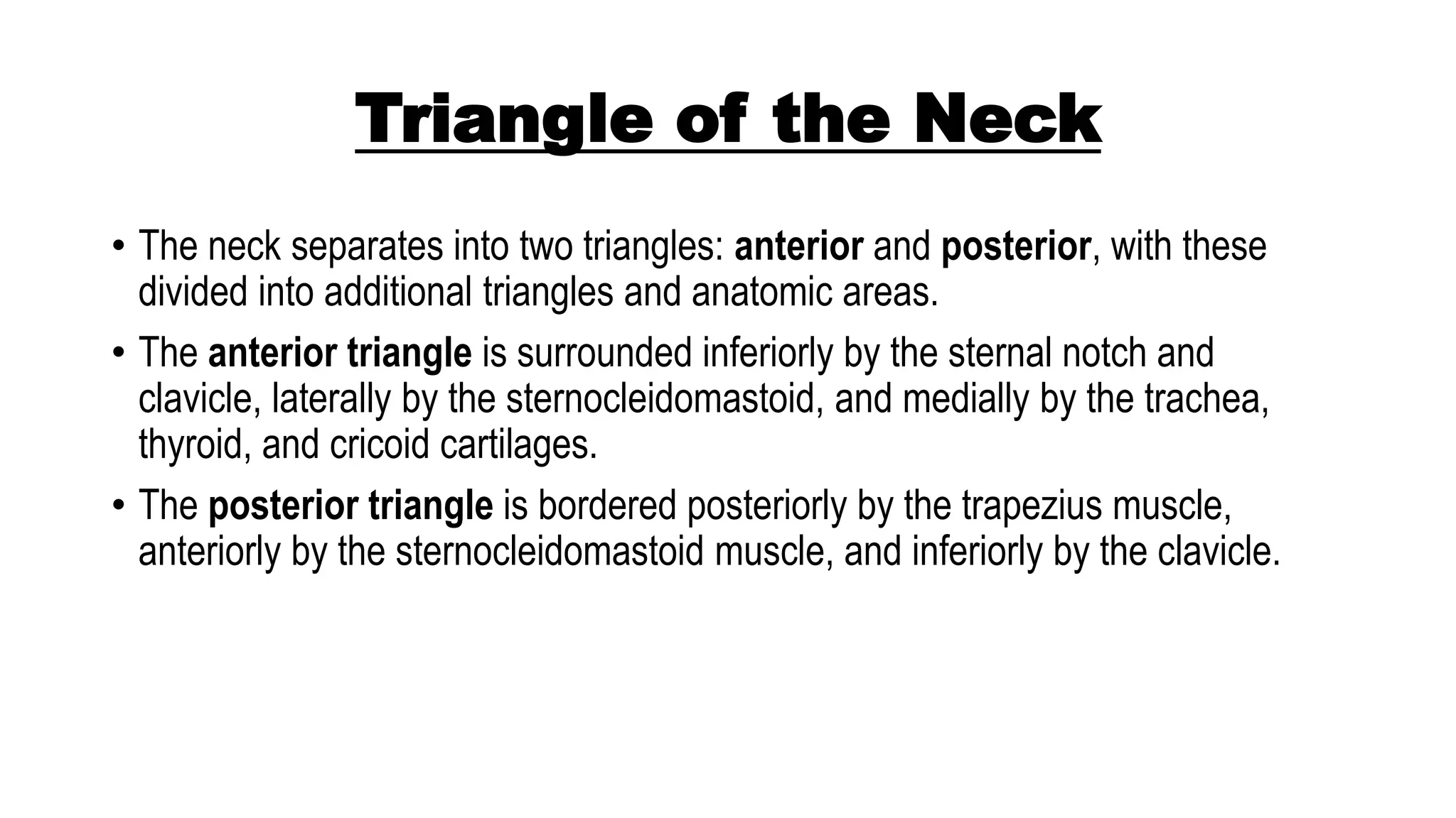 Anatomy Of NECK.pptx