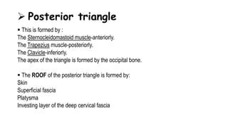Anatomy Of NECK.pptx