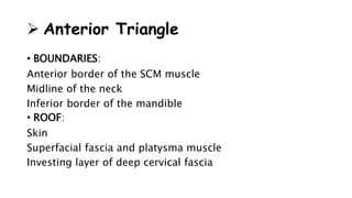 Anatomy Of NECK.pptx