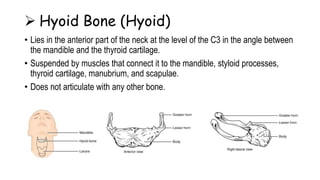 Anatomy Of NECK.pptx