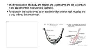 Anatomy Of NECK.pptx