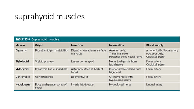 anatomy of neck.pptx and deep neck spaces | PPT