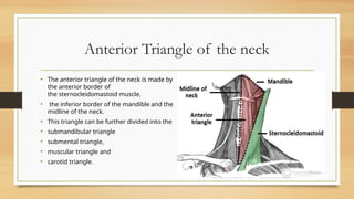 ANATOMY OF NECK.pptx hhgg hhgg uyyyy uu uyy | PPTX