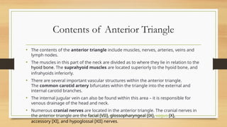 ANATOMY OF NECK.pptx hhghj hhg hyy yyy yyy | PPTX