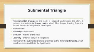 ANATOMY OF NECK.pptx hhghj hhg hyy yyy yyy | PPTX