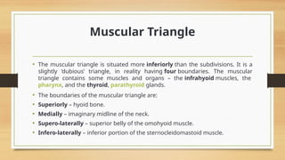 ANATOMY OF NECK.pptx hhghj hhg hyy yyy yyy | PPTX