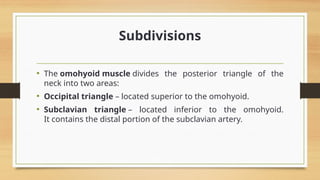 ANATOMY OF NECK.pptx hhghj hhg hyy yyy yyy | PPTX