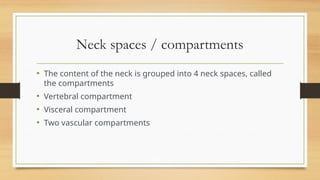ANATOMY OF NECK.pptx hhghj hhg hyy yyy yyy | PPTX