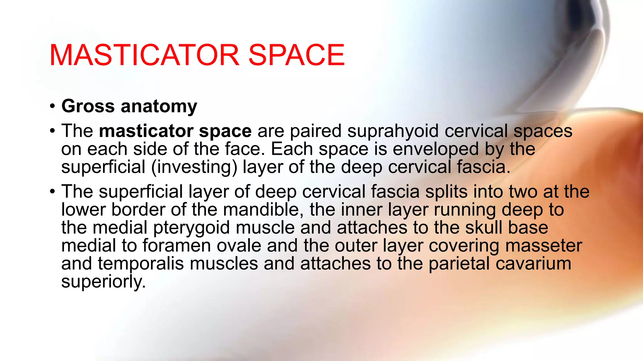 Anatomy of deep neck spaces | PPTX | Death, Injury, or Military ...