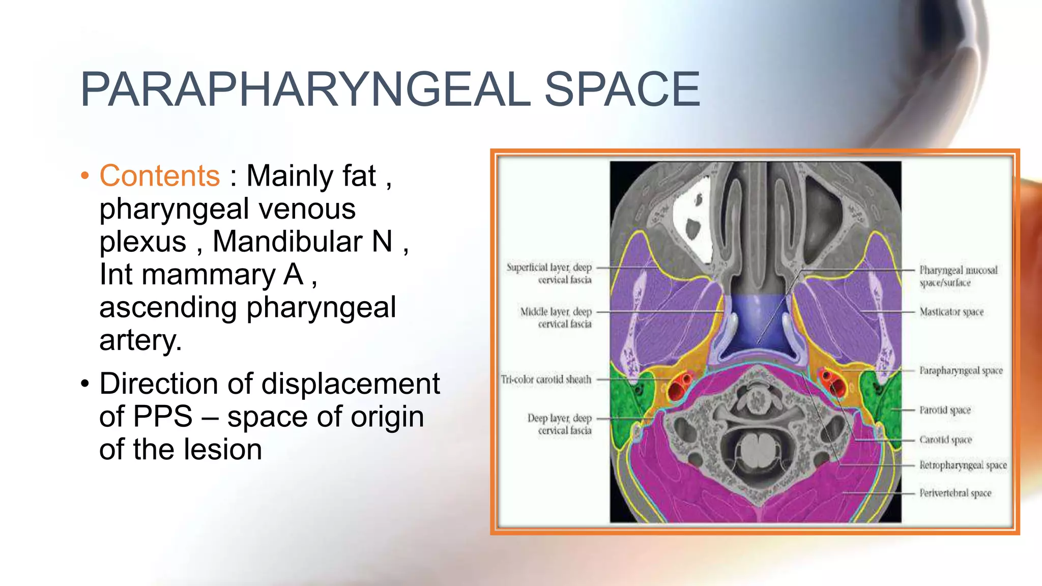 Anatomy of deep neck spaces | PPTX