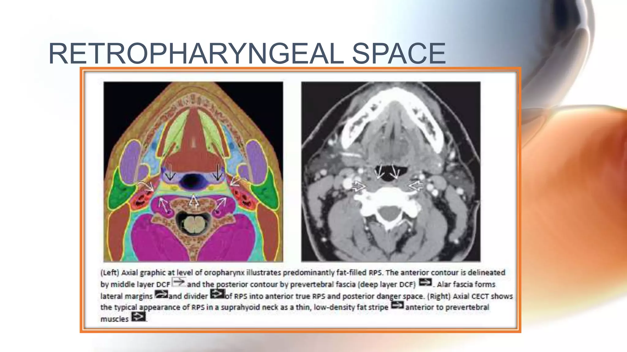 Anatomy of deep neck spaces | PPTX