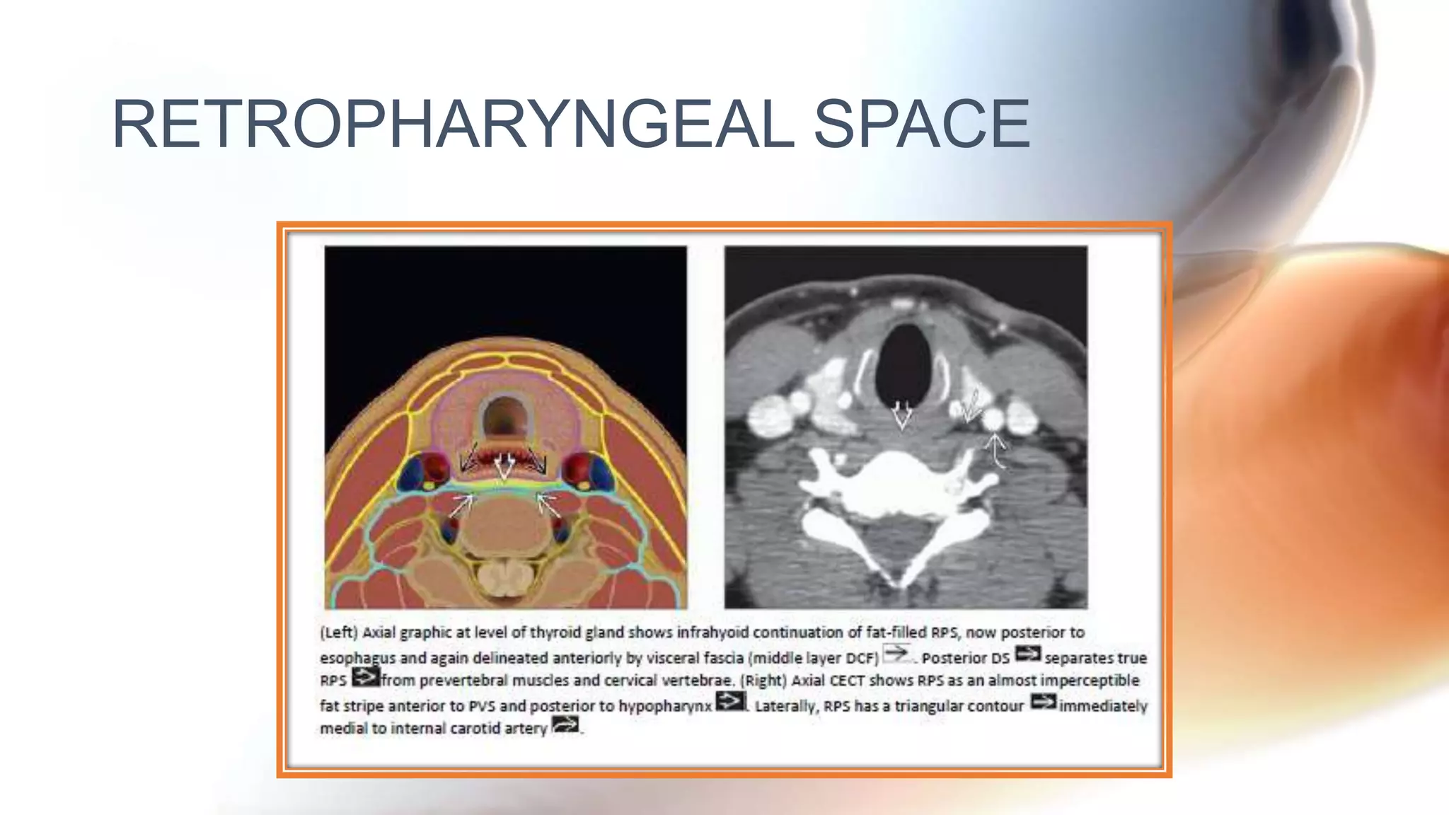 Anatomy of deep neck spaces | PPTX