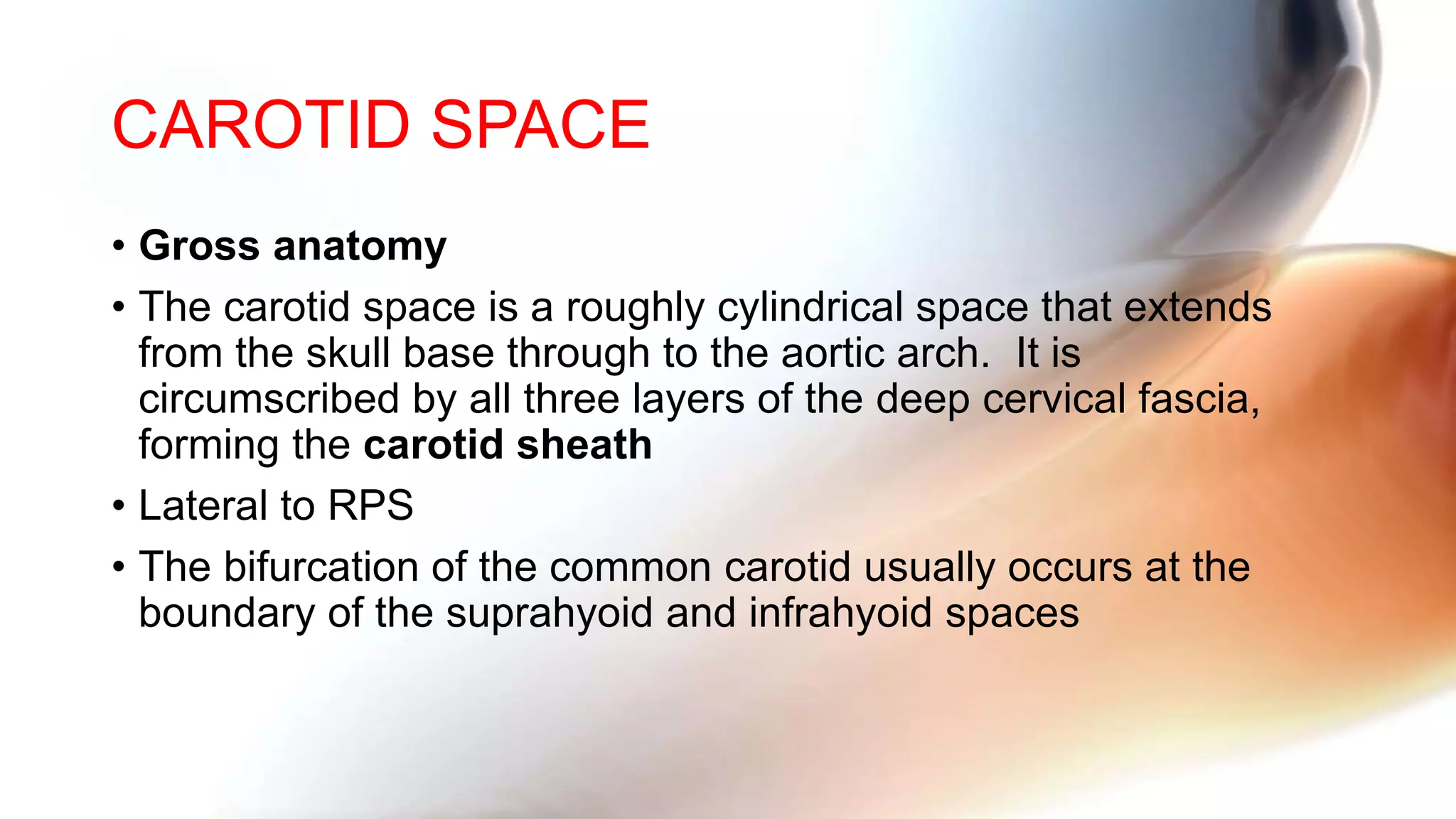 Anatomy of deep neck spaces | PPTX