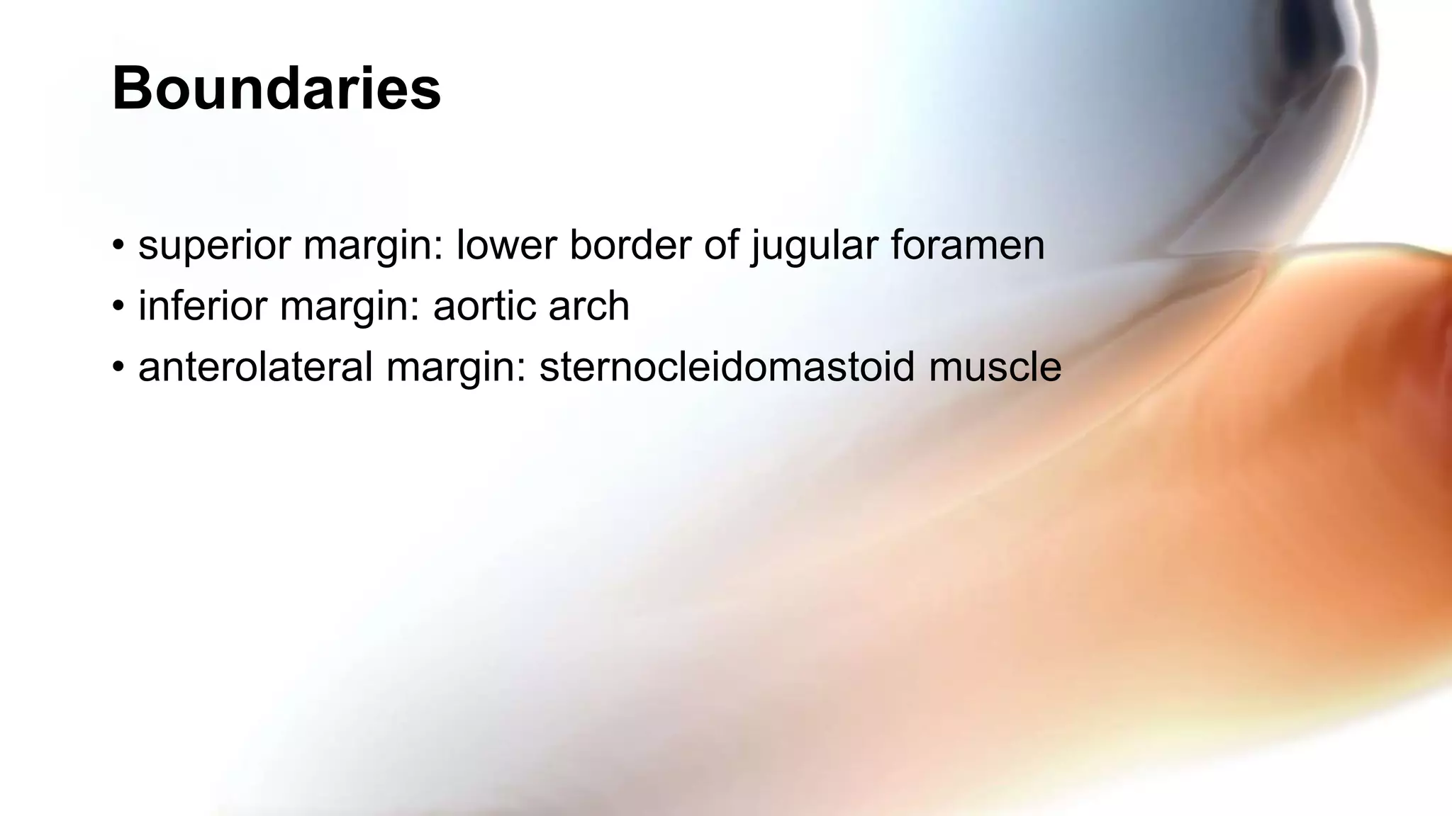 Anatomy of deep neck spaces | PPTX