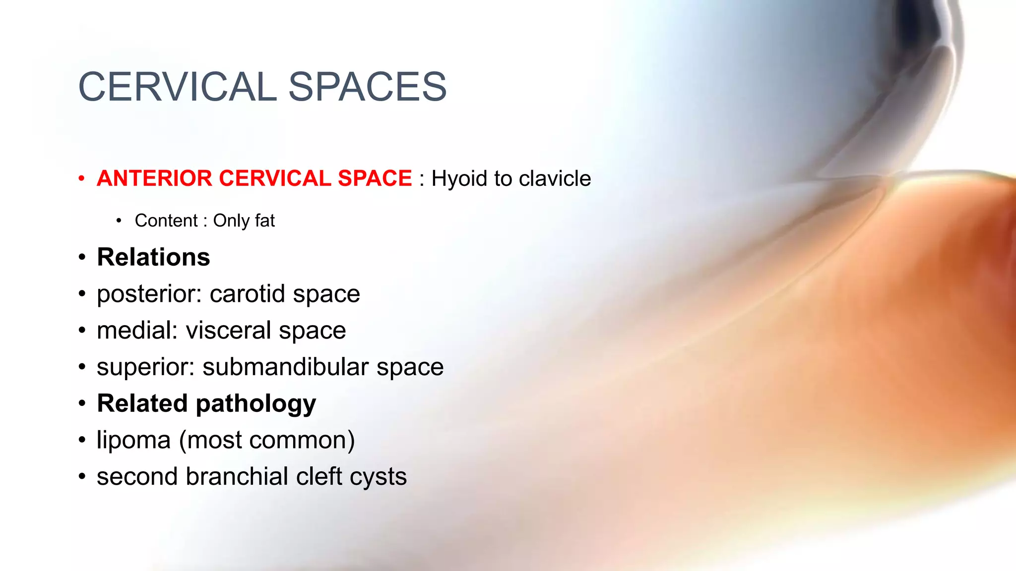 Anatomy of deep neck spaces | PPTX