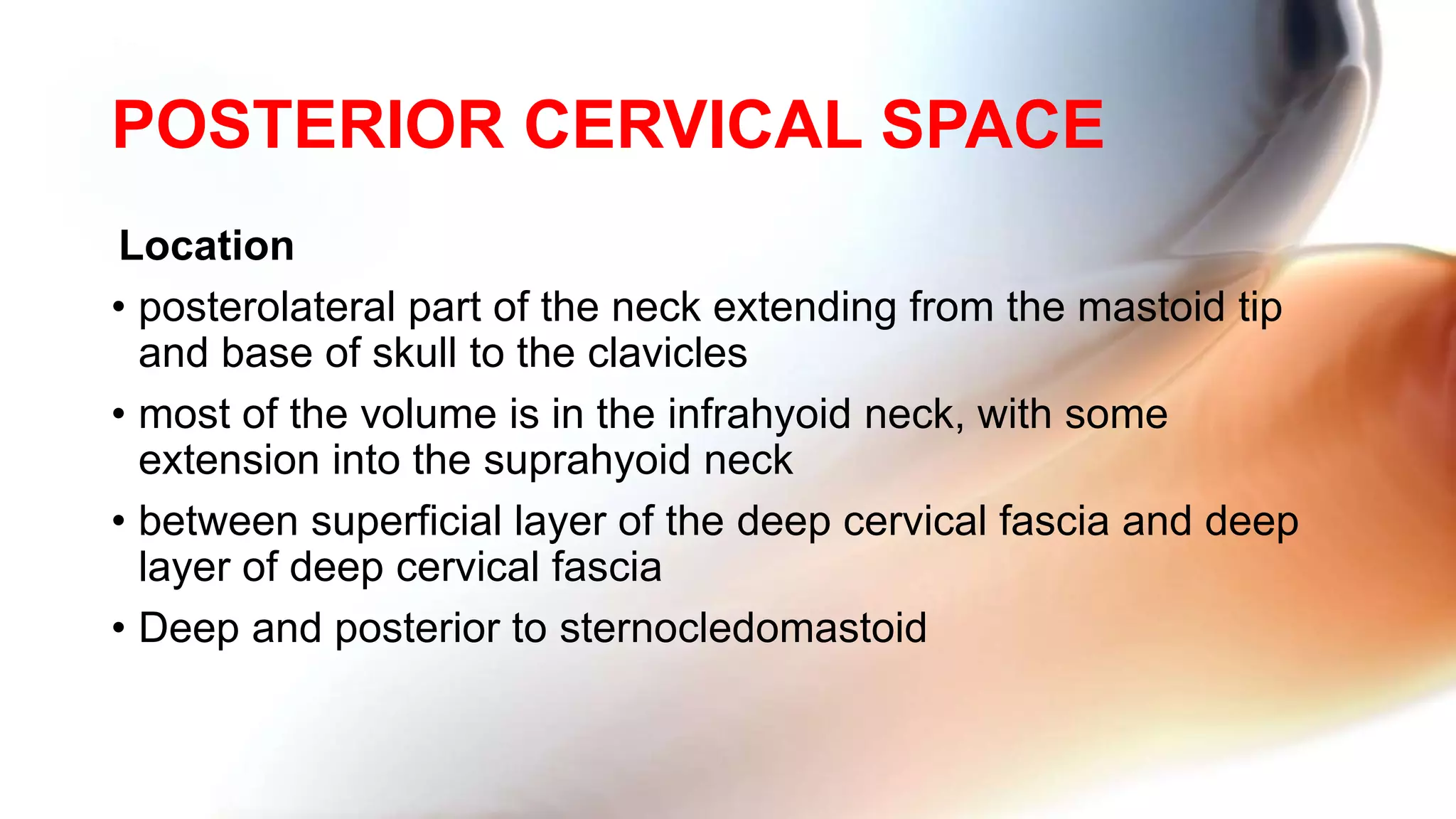 Anatomy of deep neck spaces | PPTX