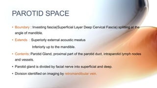 Anatomy of deep neck spaces | PPTX