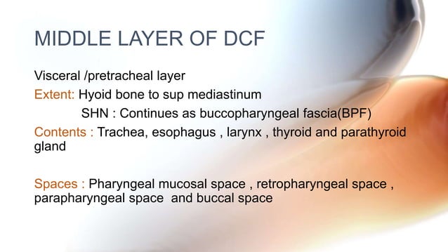 Anatomy of deep neck spaces | PPTX | Death, Injury, or Military ...