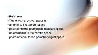 Anatomy of deep neck spaces | PPTX