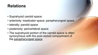 Anatomy of deep neck spaces | PPTX