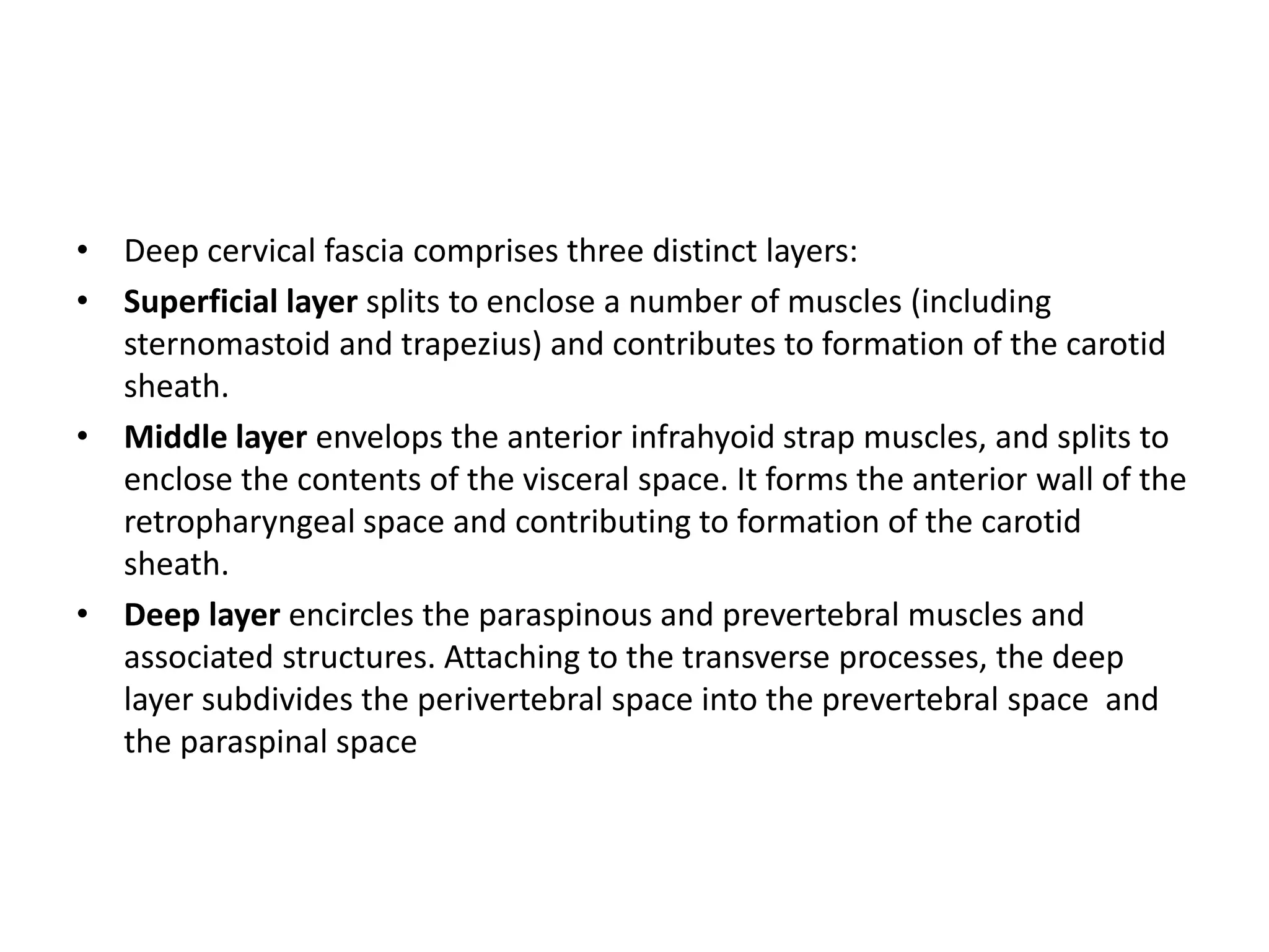 Radiological Approach To Neck Spaces Ppt