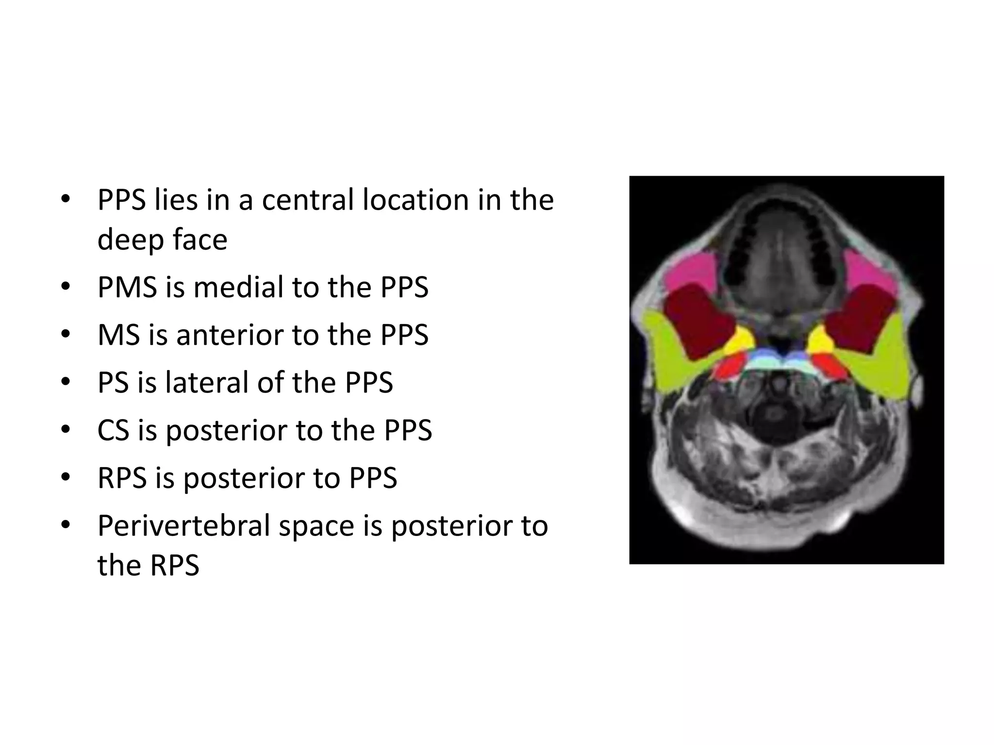 Radiological approach to neck spaces | PPTX
