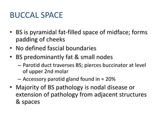 Radiological approach to neck spaces | PPTX