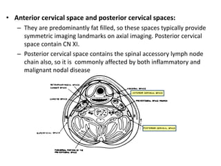Radiological approach to neck spaces | PPTX