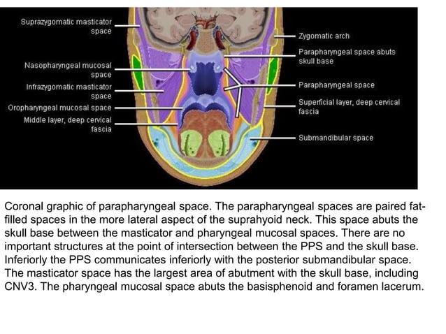 Radiological approach to neck spaces | PPTX