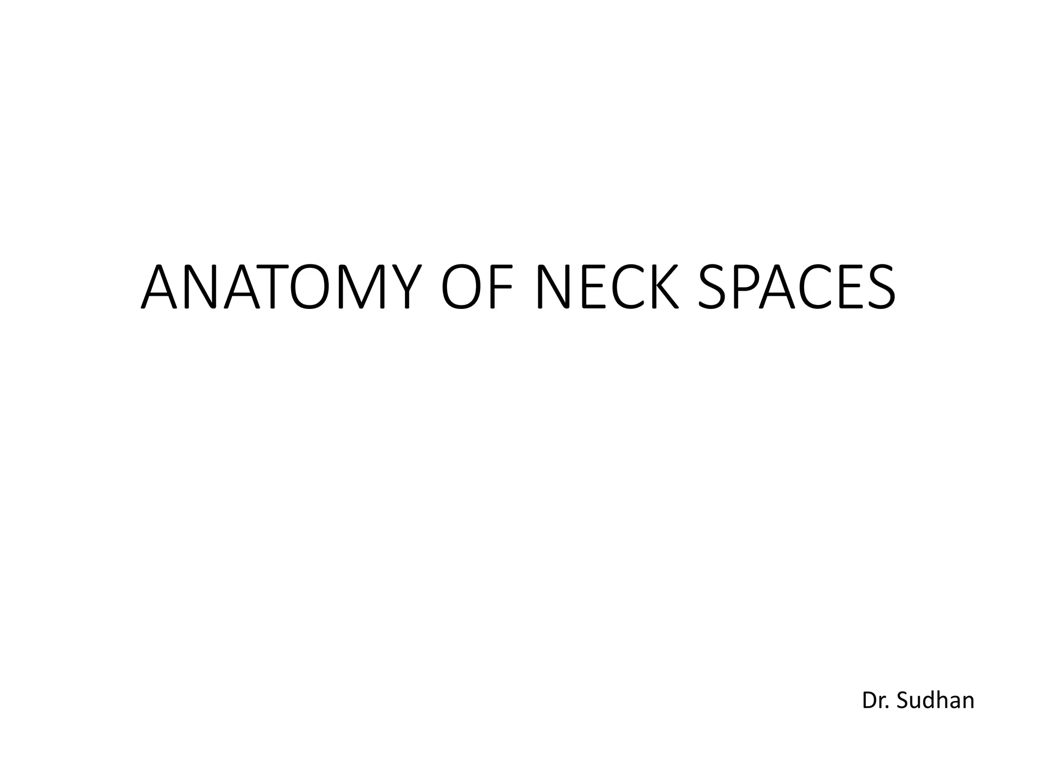 Anatomy of Deep Neck spaces Radiology Pictorial representation | PPTX