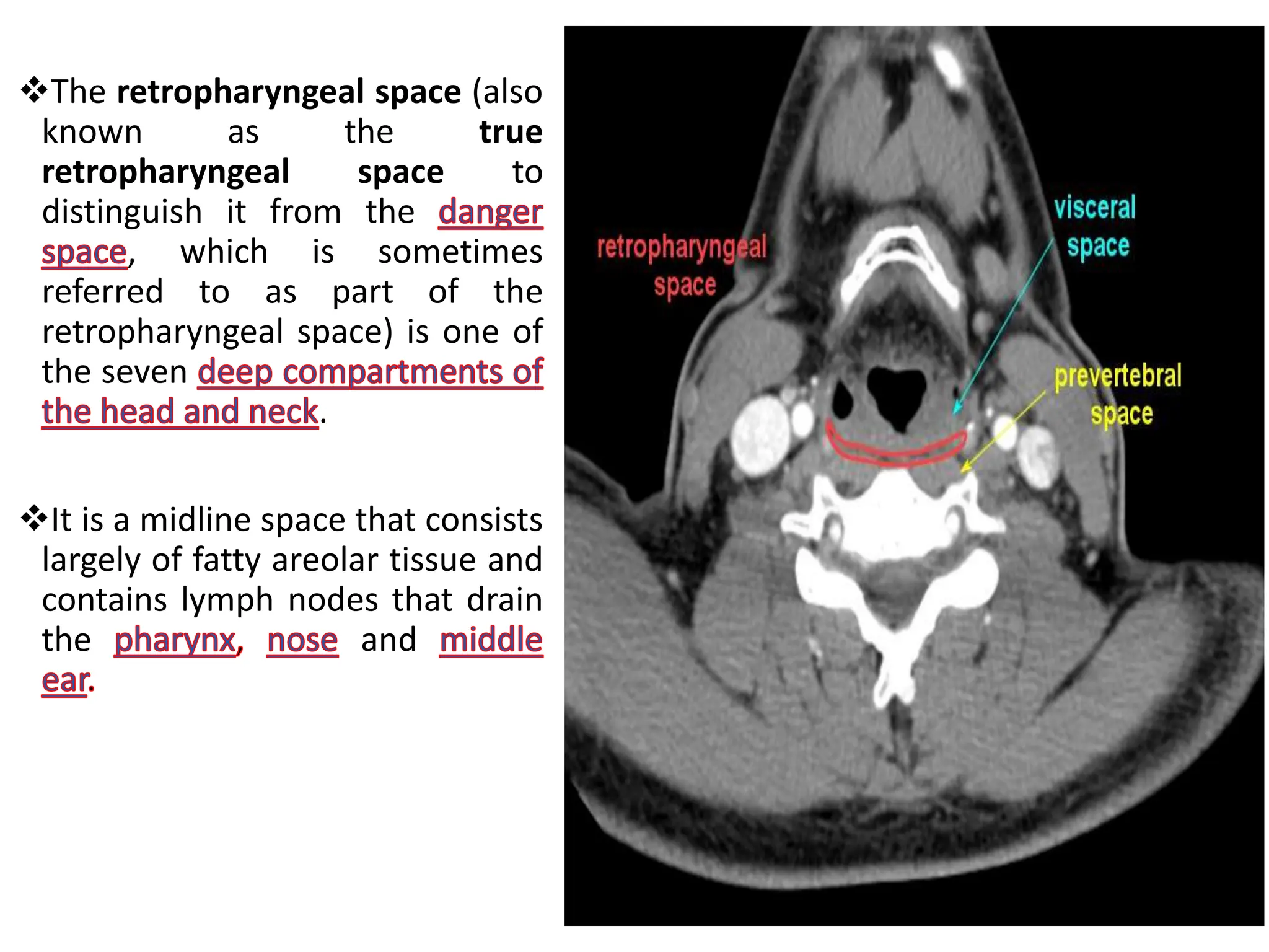 Anatomy of Deep Neck spaces Radiology Pictorial representation | PPTX