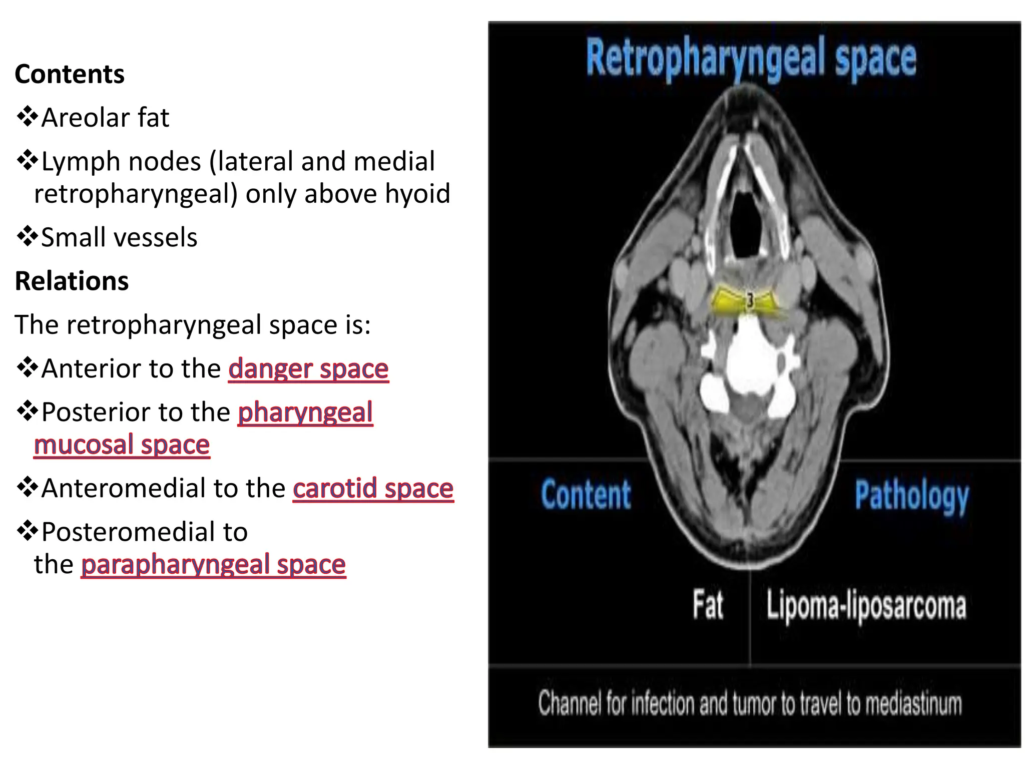 Anatomy of Deep Neck spaces Radiology Pictorial representation | PPTX