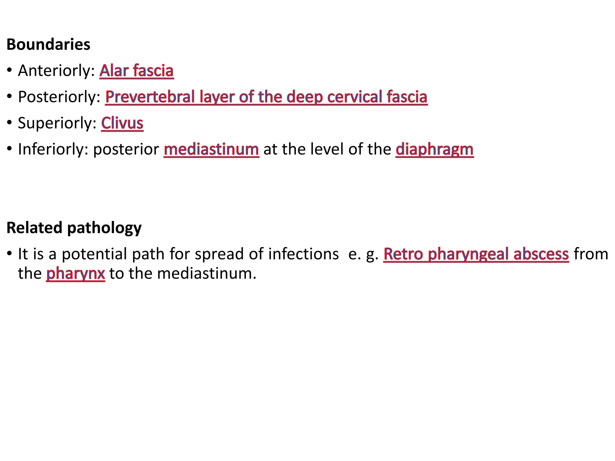 Anatomy of Deep Neck spaces Radiology Pictorial representation | PPTX