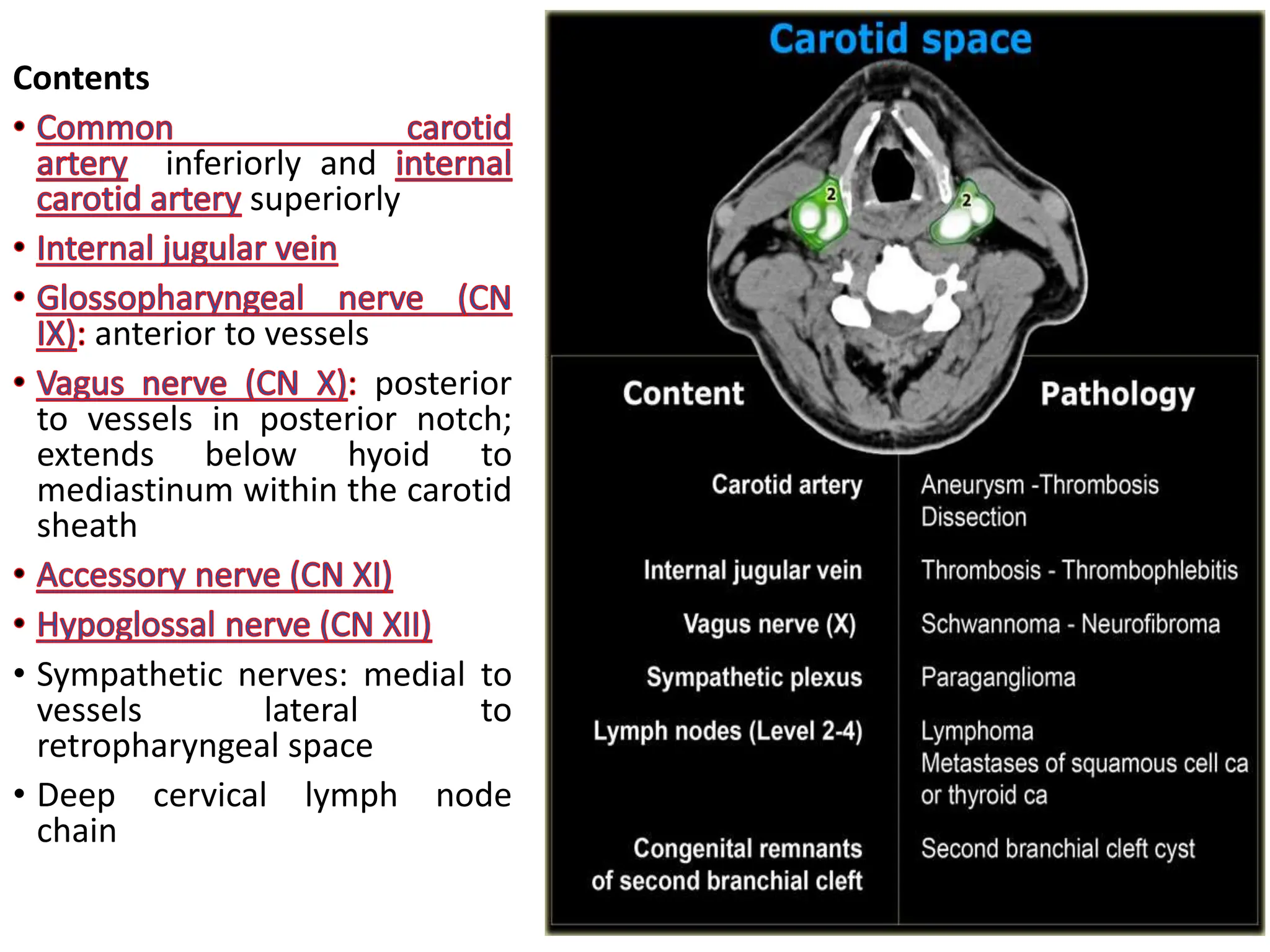 Anatomy of Deep Neck spaces Radiology Pictorial representation | PPTX