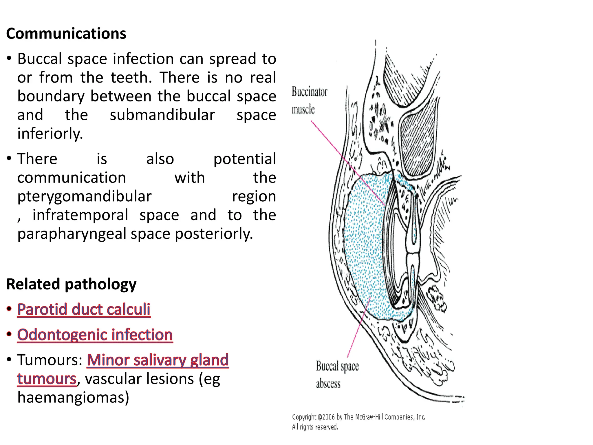 Anatomy of Deep Neck spaces Radiology Pictorial representation | PPTX