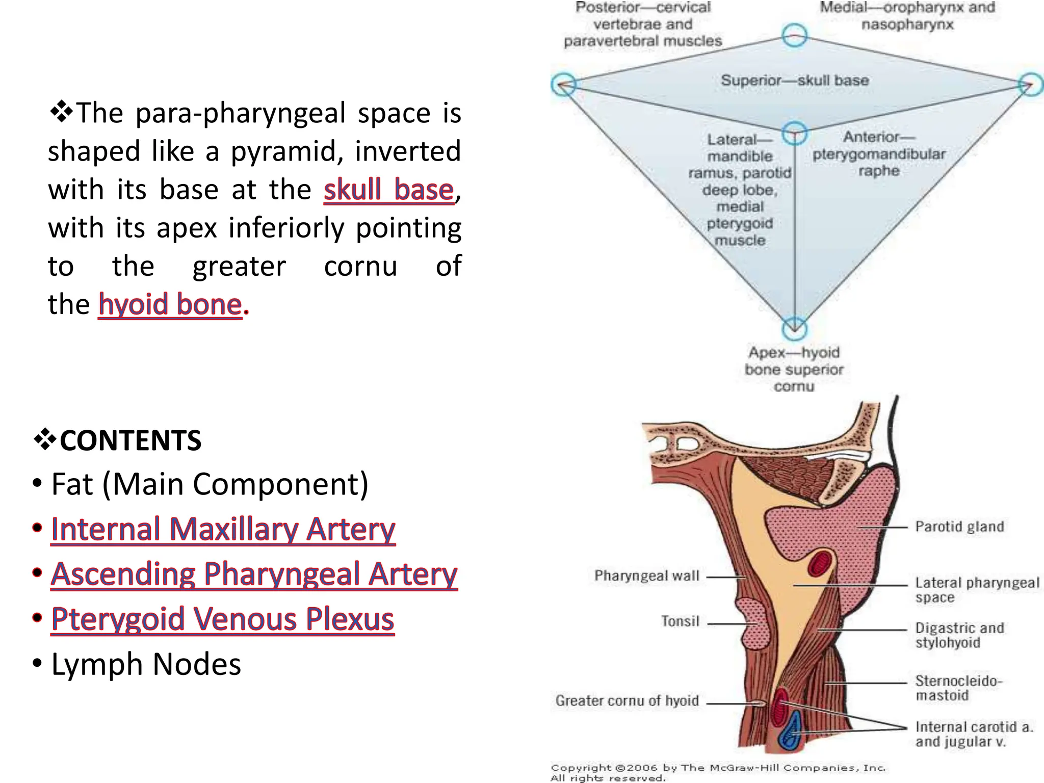 Anatomy of Deep Neck spaces Radiology Pictorial representation | PPTX