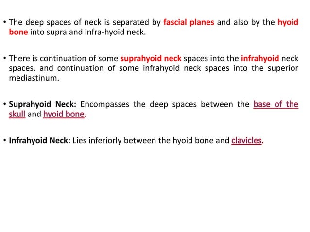Anatomy of Deep Neck spaces Radiology Pictorial representation | PPTX