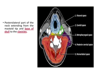 Anatomy of Deep Neck spaces Radiology Pictorial representation | PPTX