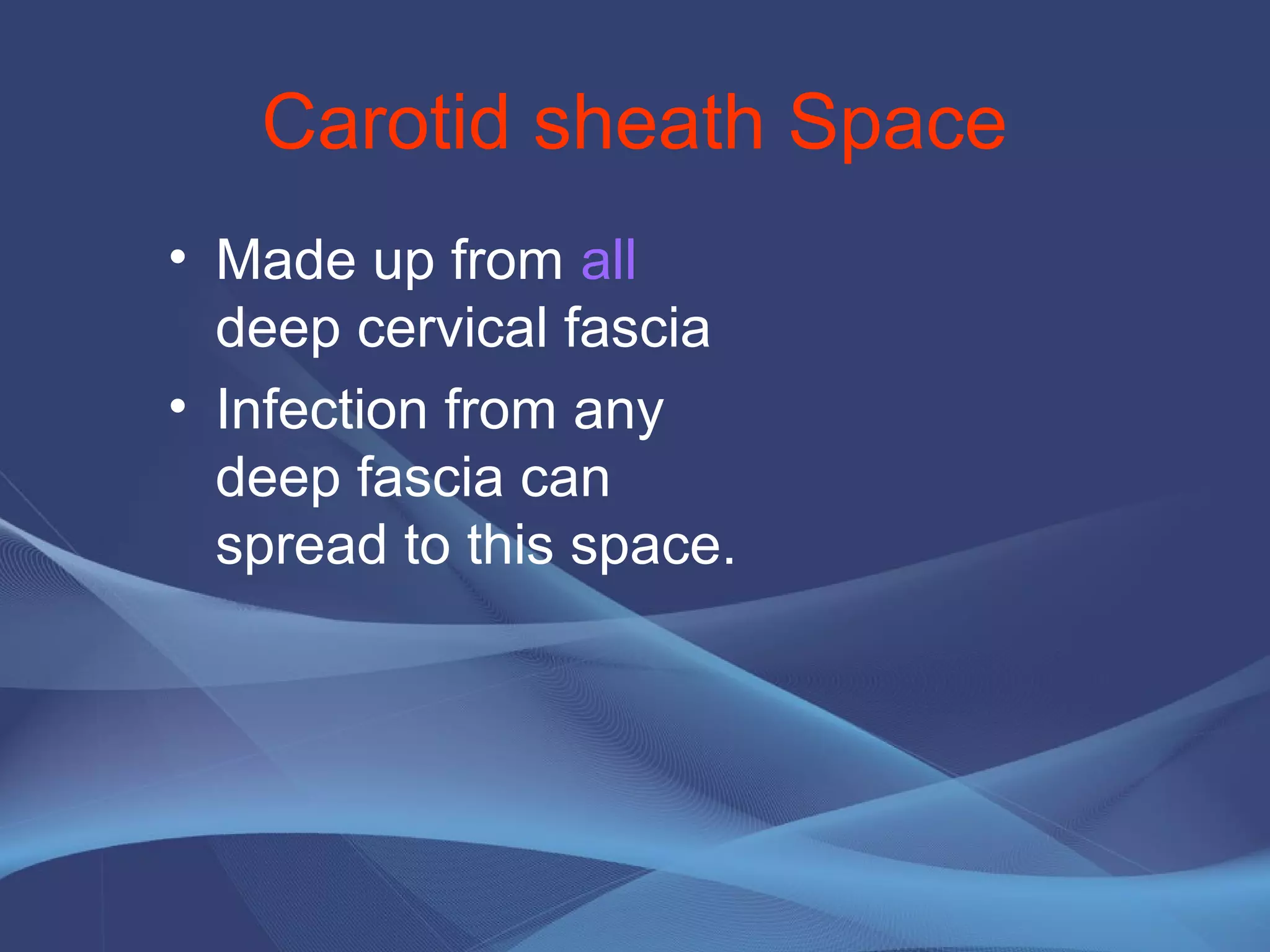 Anatomy of neck spaces and levels of cervical | PPT