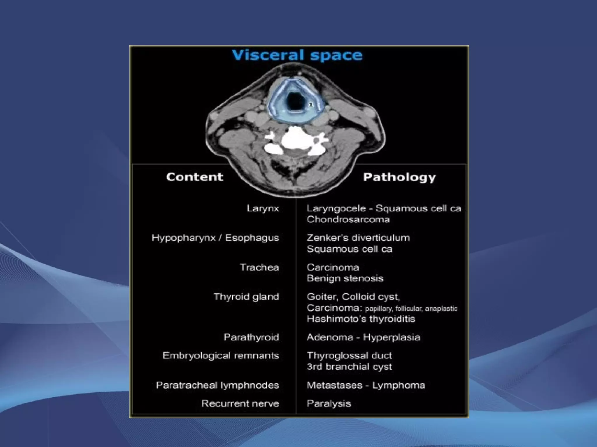 Anatomy of neck spaces and levels of cervical | PPT