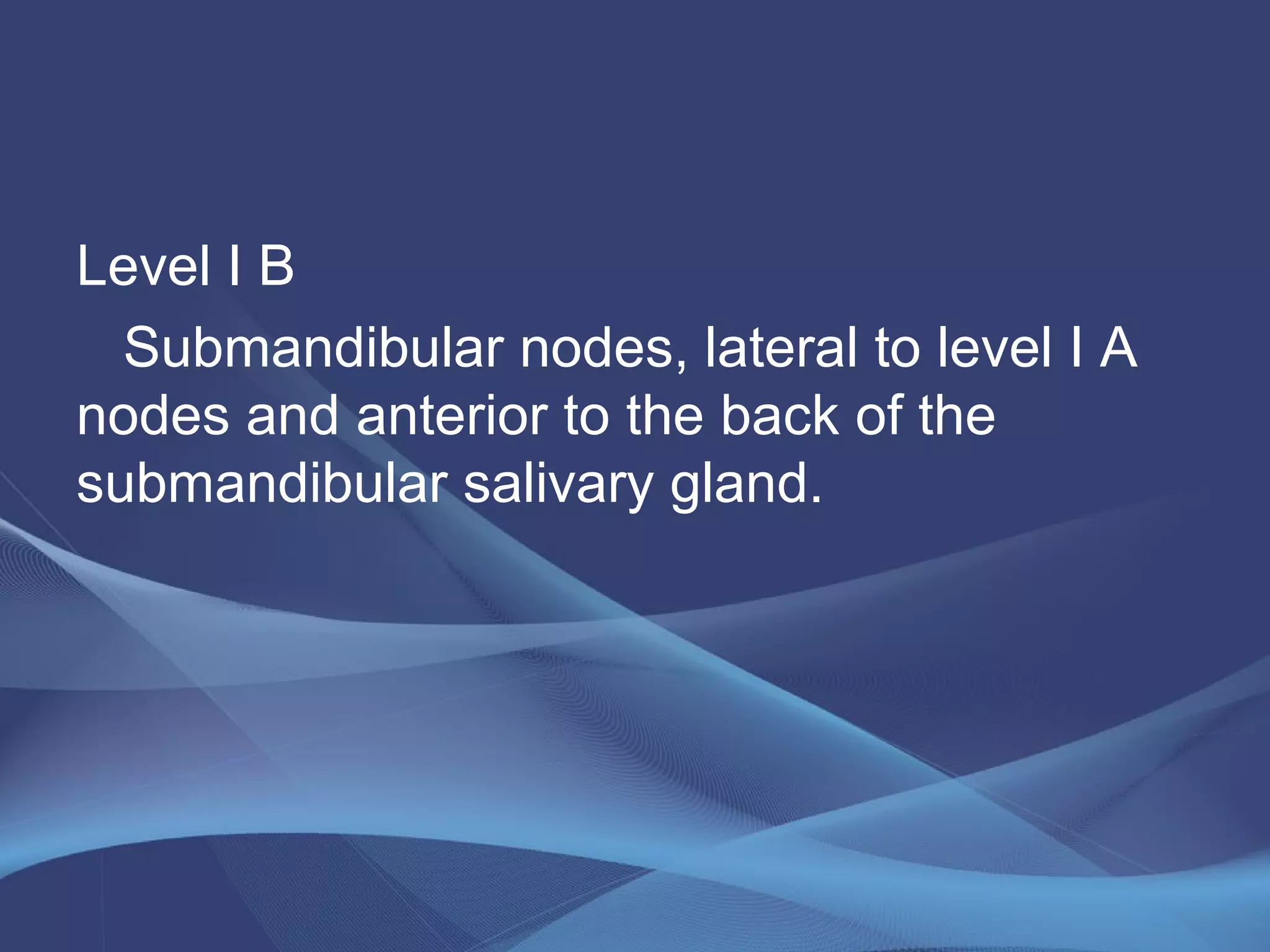 Anatomy of neck spaces and levels of cervical | PPT