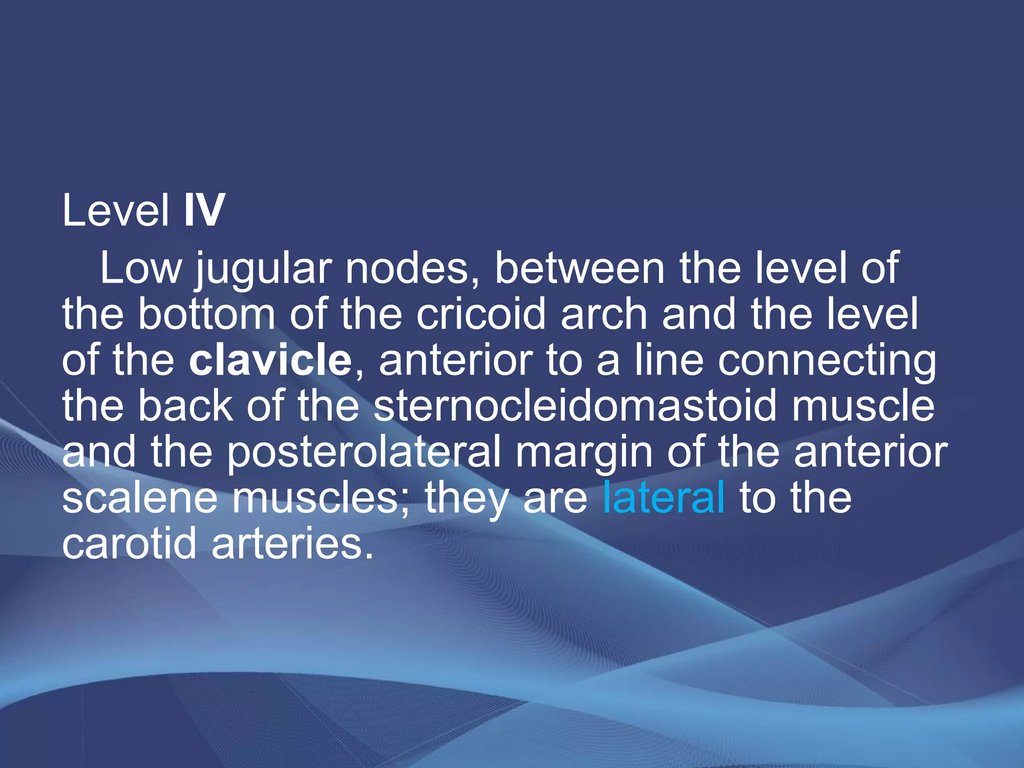 Anatomy of neck spaces and levels of cervical | PPT
