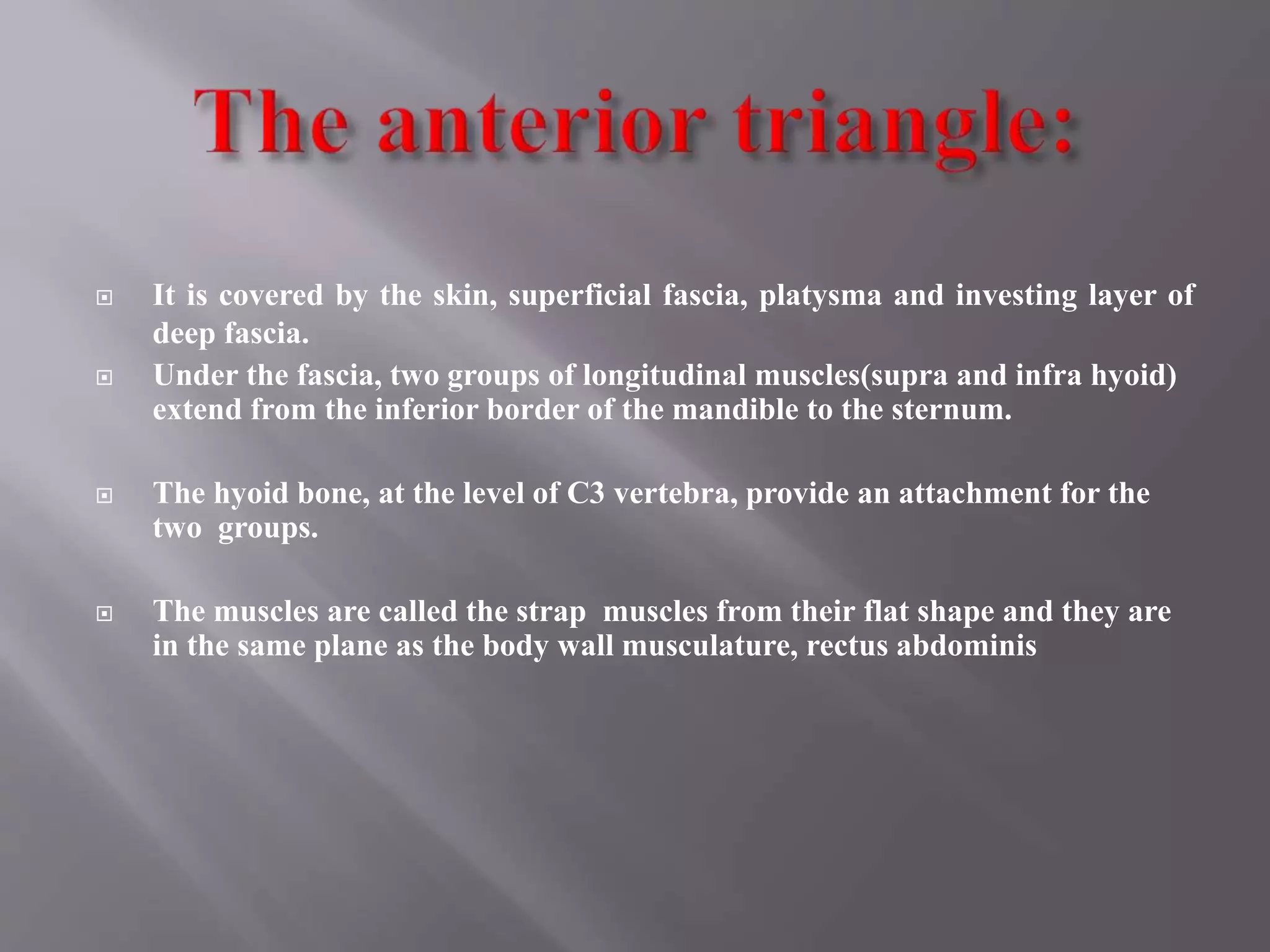 Anatomy of neck triangles | PPT